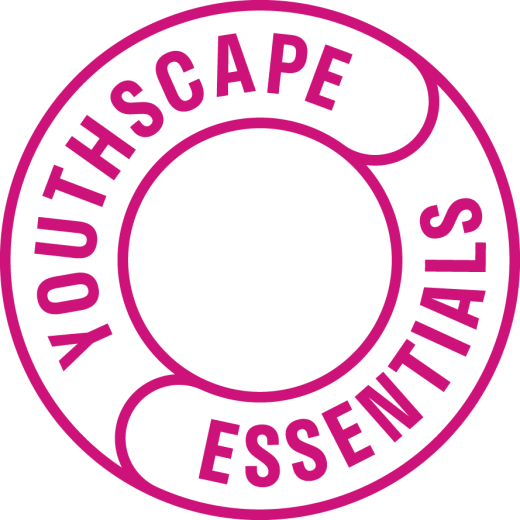 Youthscape Essentials Course 2024: Gender & Sexuality / Accommodating ...