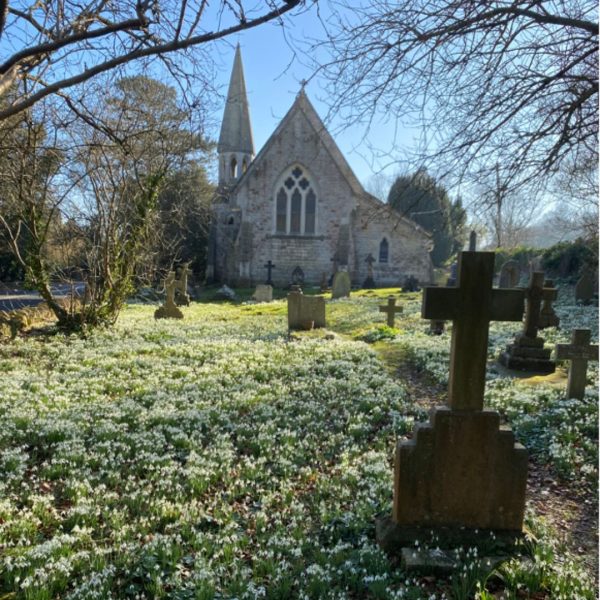 Snowdrop-in weekend at St John the Baptist, Edge – Diocese of Gloucester